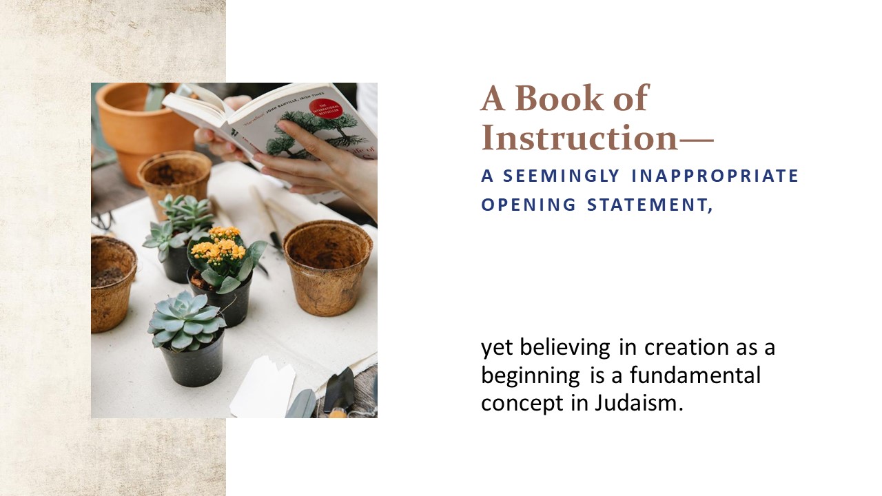 Lesson 5 PowerPoint | Book Smart